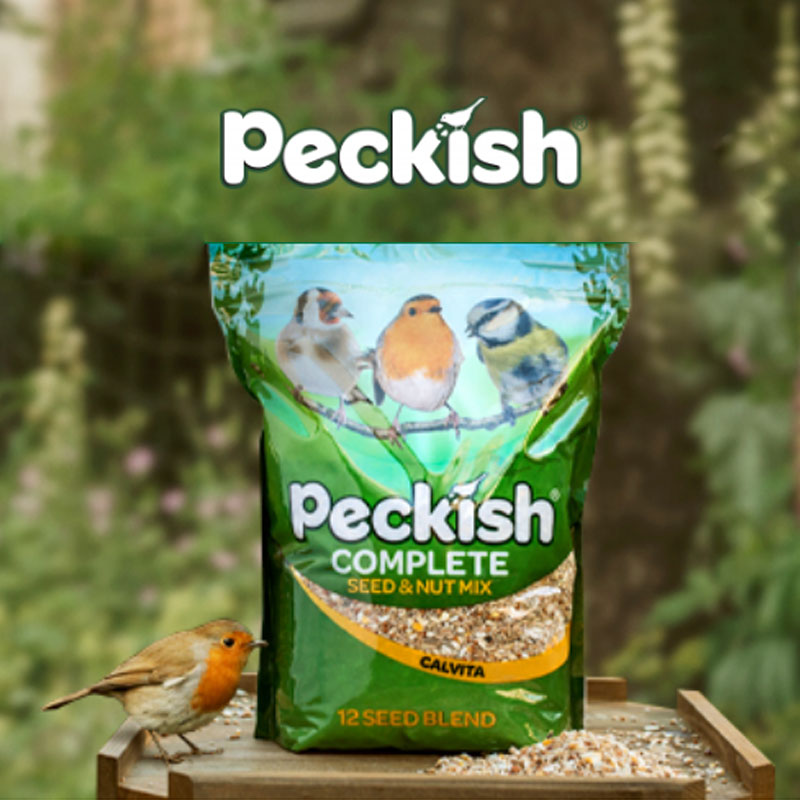 Peckish Feeders – Chubby Mealworms UK