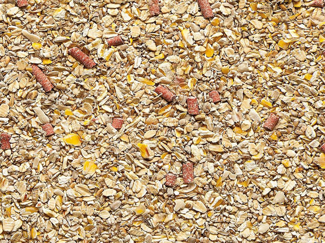 No Grow Gardman No Grow Wild Mix 12.75kg - Sunflower Hearts, Peanut ...