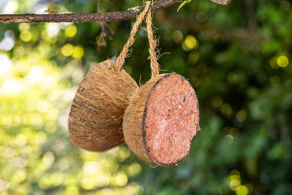 28 x Chubby Dual Half Filled Coconut Feeders Twin Pack – Chubby ...
