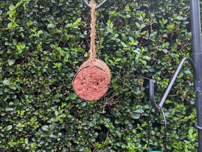 28 x Chubby Dual Half Filled Coconut Feeders Twin Pack – Chubby ...