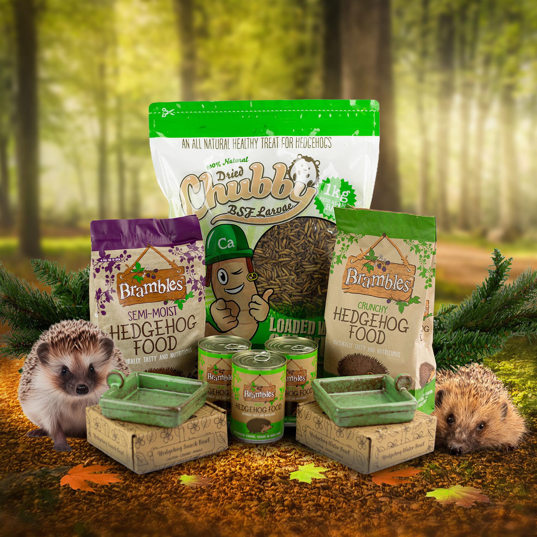 Hedgehog Happiness Bundle - Complete Mealtime Set – Chubby Mealworms UK