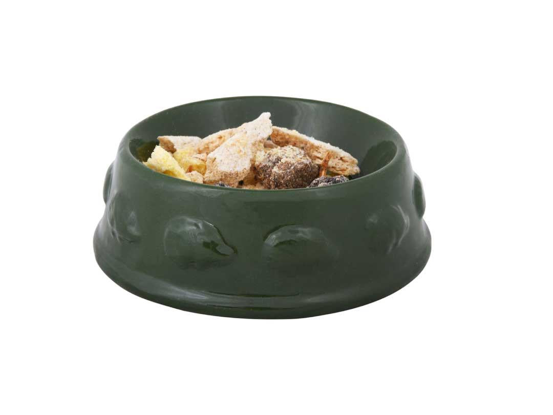 Fallen Fruits Hedgehog Feeding Bowl – Chubby Mealworms UK